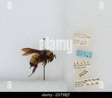 8 miles North, 3 miles West of Glenn County, Glenn, California, United ...