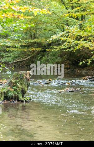 Little Crystal Creek Bridge in the Paluma Range Stock Photo - Alamy