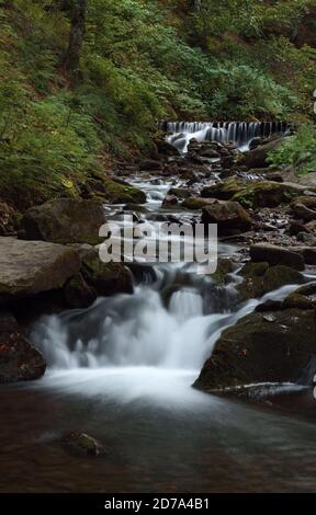 A vertical shot of a beautiful waterfall flowing in the forest Stock ...