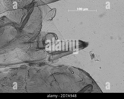 Umstead Park Lake, Upper Dam, Wake, North Carolina, United States ...