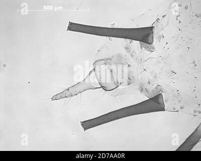 Umstead Park Lake, Upper Dam, Wake, North Carolina, United States ...