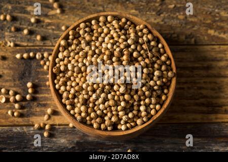 Dry Coriander seeds in the bowl Stock Photo - Alamy