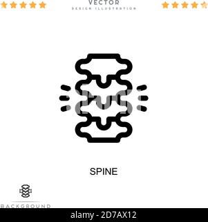 Vertebrae spinal cord anatomy infographics with scientific image of ...