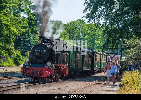 Narrow Gauge Steam Train "Rasender Roland" in Putbus, Ruegen Stock ...