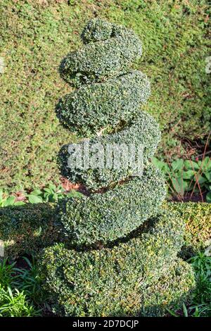 A Front or back yard Garden Topiary Forms and Topiary Art and craft. A ...