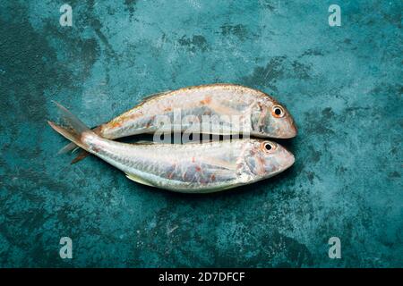 Fresh red mullet. Sultan fish on a blue background Stock Photo - Alamy