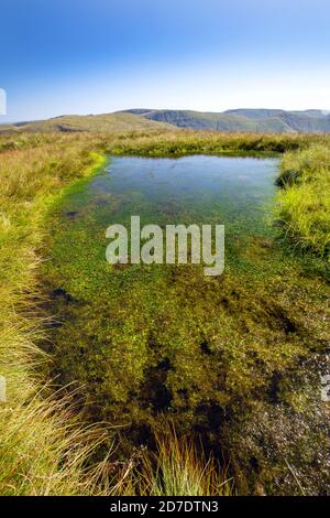 A tarn on Red Screes, Lake district, UK, at sunset Stock Photo - Alamy