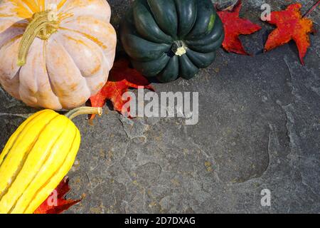 Colorful fall frame made with pumpkins, squashes and maple leaves Stock ...