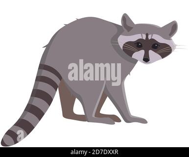 Cute cartoon raccoon sitting in front. Cartoon animal character design ...