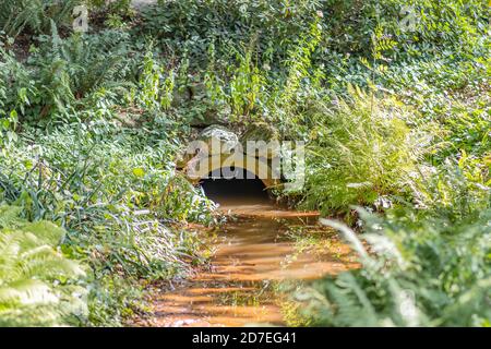 Storm drain pipe leading into a forest ravine Stock Photo - Alamy