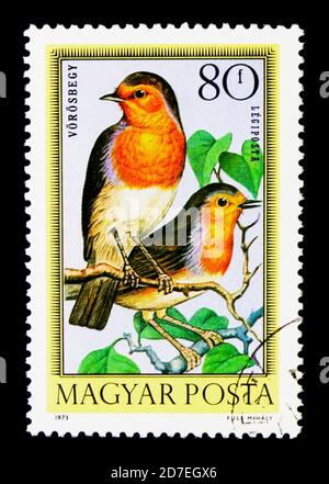 Robin (Erithacus rubecula). Russia, Moscow Stock Photo - Alamy