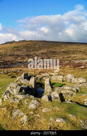 Stone hut circle late Bronze age enclosed settlement site of Grimspound ...