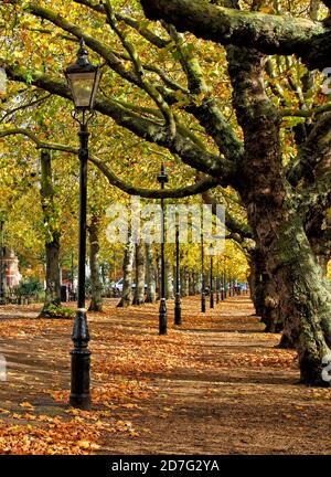 Bedford, UK. 22nd Oct, 2020. Colourful trees alongside the river during ...