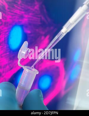 Hand of scientist pipetting sample into vial Stock Photo - Alamy