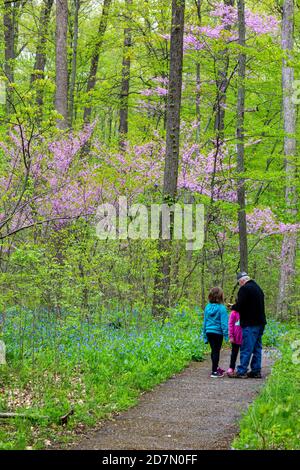 paved path in the park on a clear day in summer Stock Photo - Alamy