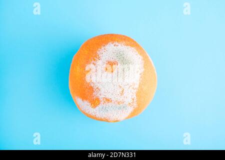 Fruit ; Orange decaying rotten fungus formed on skin of orange Stock ...