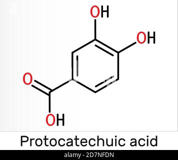 Protocatechuic acid (PCA) green tea antioxidant molecule. Skeletal ...