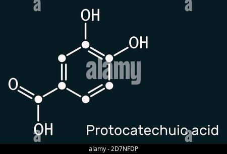 Protocatechuic acid (PCA) green tea antioxidant molecule. Skeletal ...