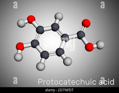 Protocatechuic acid (PCA) green tea antioxidant molecule. Stylized ...