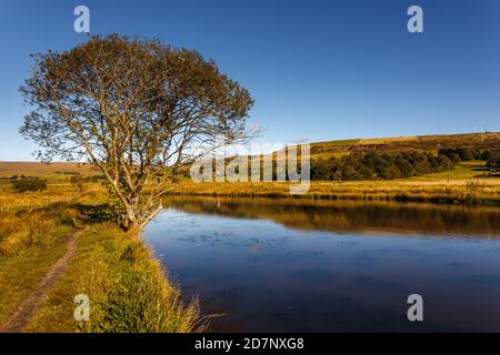 Blue sky landscape of Hull Mill pond at Delph, Saddleworth, with tree ...