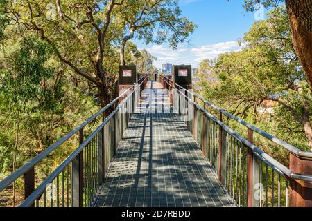 Australia, Perth, tree top walk with glass bridge in public Kings Park ...