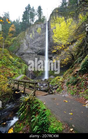 Latourell Falls in Autumn, Columbia Gorge, Oregon, USA Stock Photo - Alamy