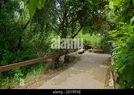 Dan river nature reserve, israel Stock Photo - Alamy