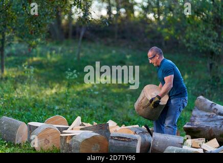 Strong lumberjack manhandling the logs Stock Photo - Alamy
