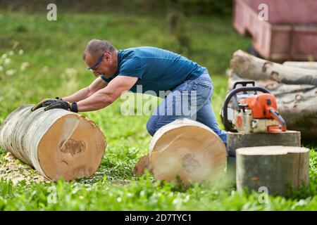 Strong lumberjack manhandling the logs Stock Photo - Alamy