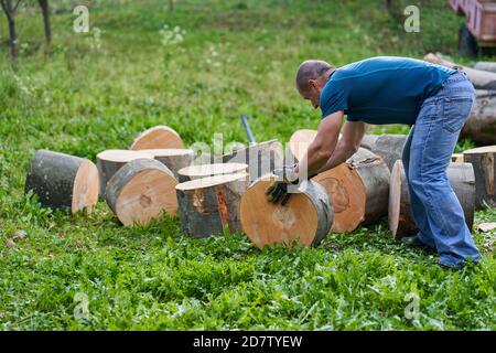 Strong lumberjack manhandling the logs Stock Photo - Alamy