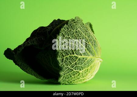 Savoy cabbage, tundra cultivar. Beautiful outer greenish-yellow ...
