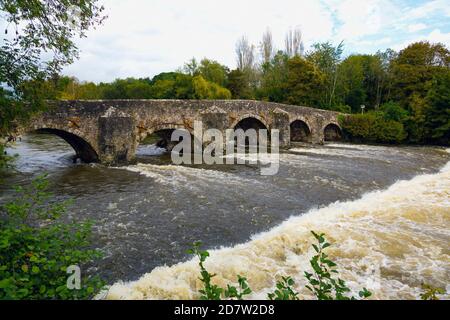 The old River Exe bridge in Exeter, Devon, England, UK Stock Photo - Alamy