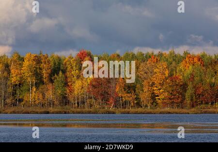 A clearing storm on a pretty autumn day in northern Wisconsin Stock ...