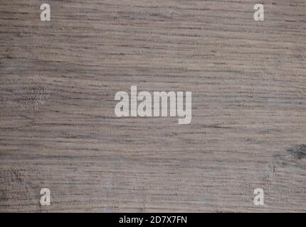 Lightened oak with rich stripes pattern, close-up of flat surface of ...