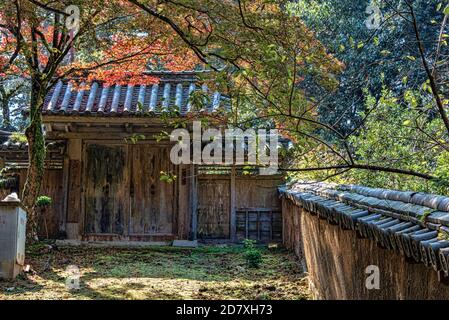 Shoshazan Engyoji temple of the Tendai sect, Himeji, Japan. Film ...