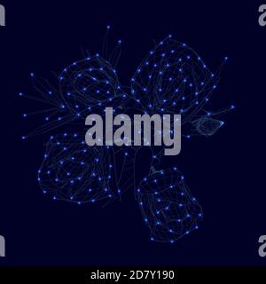 Rose wireframe. Polygonal wireframe rose on a dark blue background. 3D ...