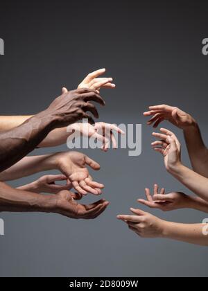 Talks. Hands of people's crows in touch isolated on grey studio ...