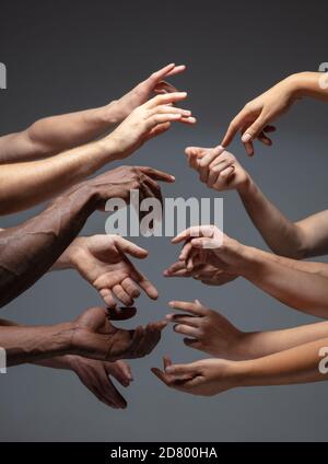 Talks. Hands of people's crows in touch isolated on grey studio ...