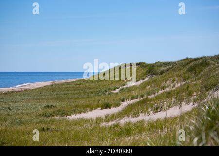 Dramatic dunes of the Cape Cod National Seashore-2 Stock Photo - Alamy