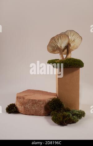 Podium on pastel background with mushroom and moss. For presentation ...