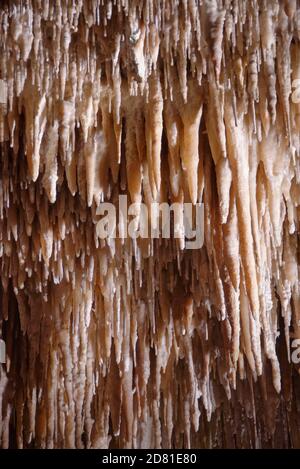 Stalactites hanging from roof of cavern in Jenolan caves complex ...