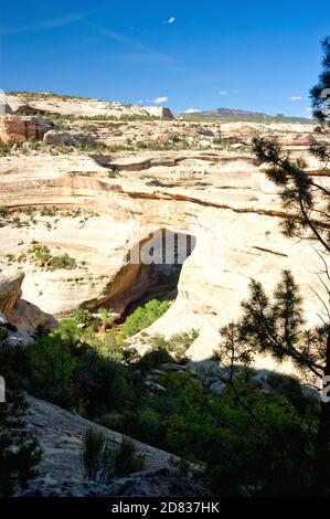 High angle view of natural Sipapu Bridge in White Canyon. Natural ...