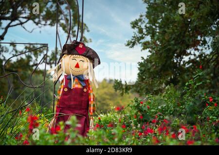 Halloween and decoration concept. Cute smiling black paper bats flying ...