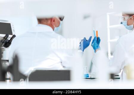 rear view . Microbiology scientists discussing the liquid in test tubes ...