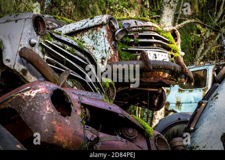rusty old timer hidden in a wood Stock Photo - Alamy