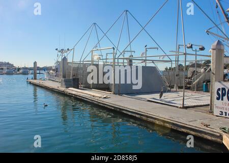 Commercial fish purse seine boats tied up at the fuel dock in downtown ...