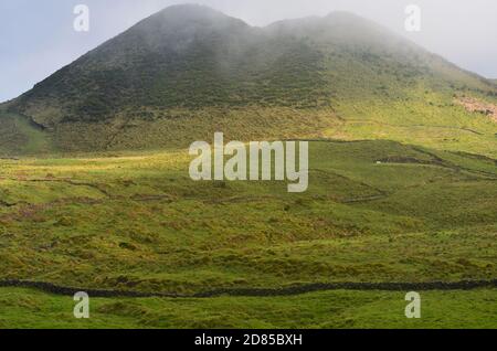 Peatlands in the high volcanic plateau of Pico island, Azores ...
