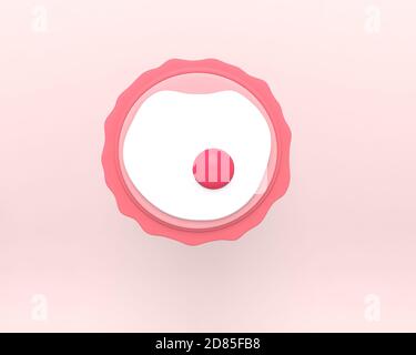 female reproductive system anatomy 3d illustration Stock Photo - Alamy