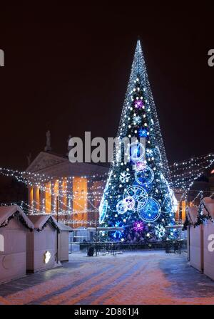 Vilnius Cathedral And Christmas Tree, Vilnius, Lithuania Stock Photo ...