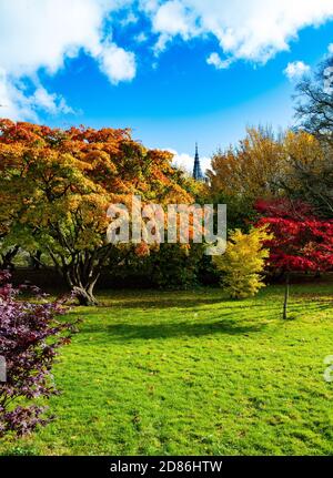 Autumn colours, Bute Park, Cardiff, South Wales Stock Photo - Alamy